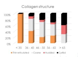 Collagen : Three facts you need to know - Innovactiv