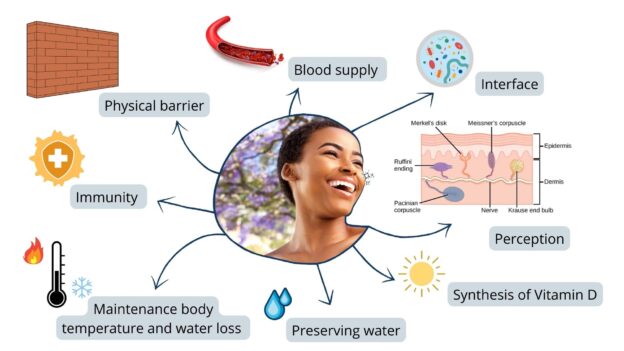 Everything you need to know about skin hydration in winter - Innovactiv