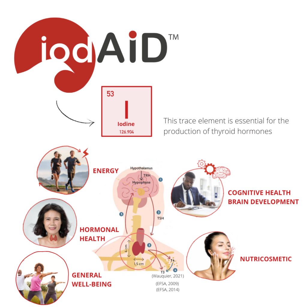 Iodine: Your Thyroid's Superhero 隸 - Innovactiv